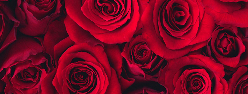 Anita's Blossoming Flowers & Gifts Florist Runcorn Cheshire